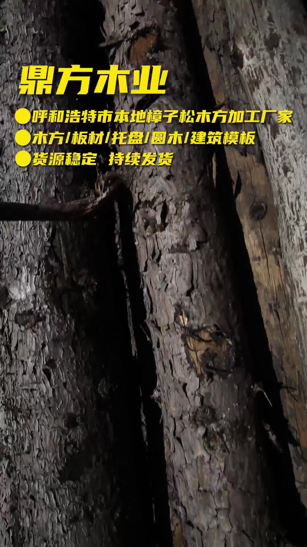 呼和浩特本地樟子松木方加工厂家,支持批发