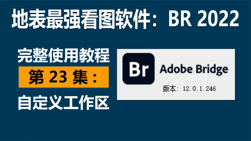 地表最强看图软件:BR2022完整教程第23集-自定义工作区