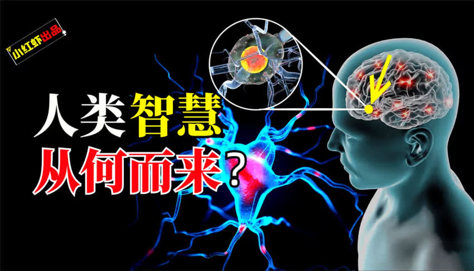 人类智慧从何而来?科学家的新研究发现:揭示人类文明诞生的真相