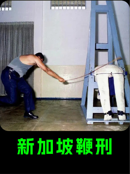 新加坡鞭刑有多恐怖?一鞭下去皮开肉绽,没人能抗过6鞭!