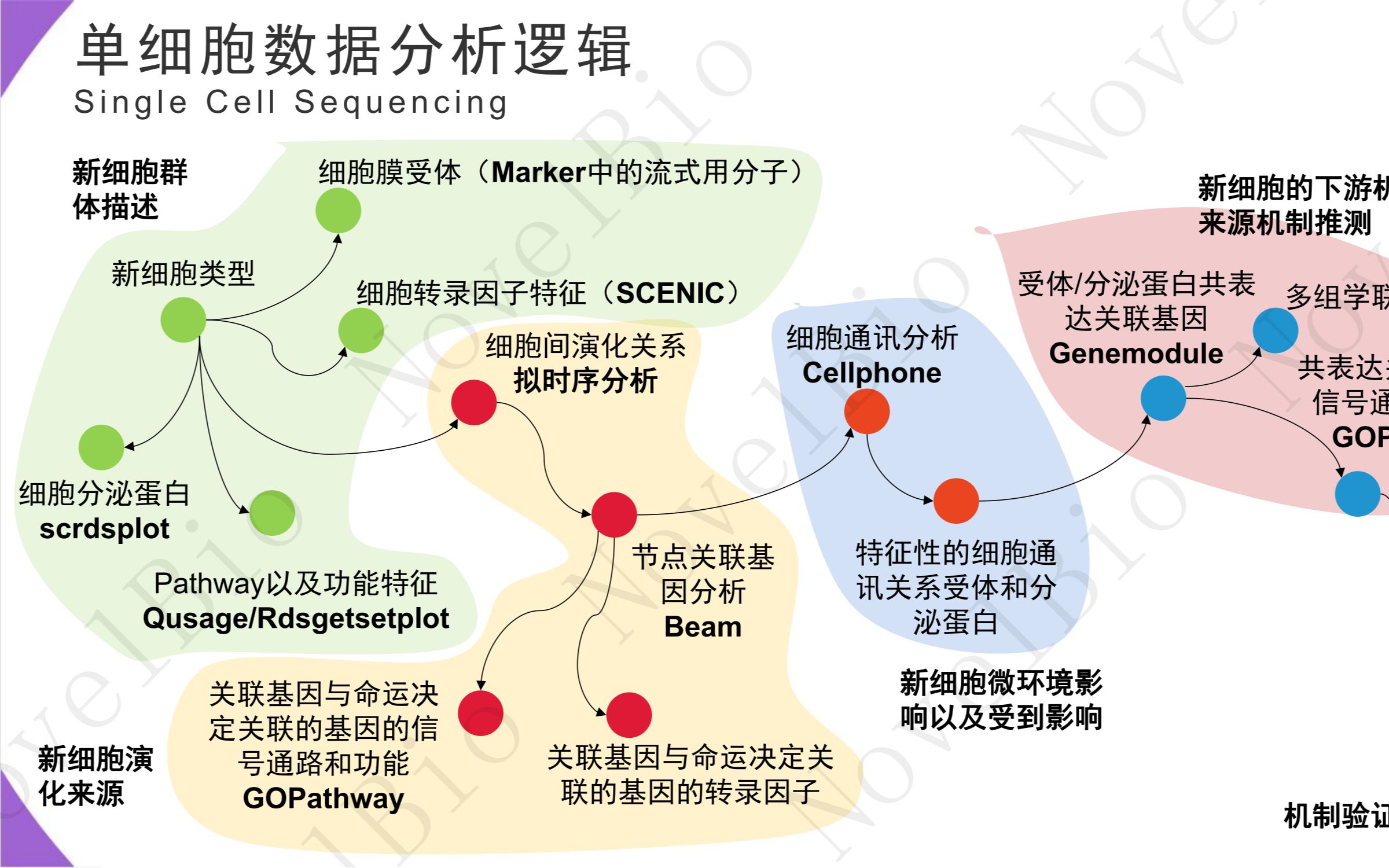 一、单细胞测序原理及分析思路-单细胞数据分析逻辑