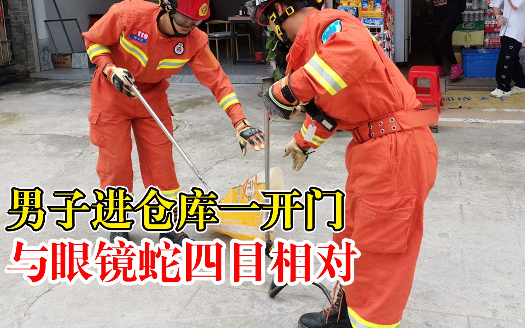 男子进仓库一开门与眼镜蛇四目相对:半年前就发现了2条蛇皮