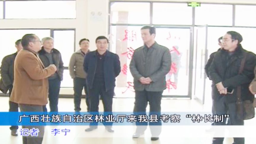 广西壮族自治区林业厅来武宁县考察“林长制”