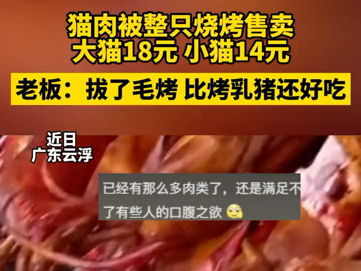 处理一只活猫仅需几分钟?店铺老板:猫肉拔了毛烤 比烤乳猪还好吃 #...