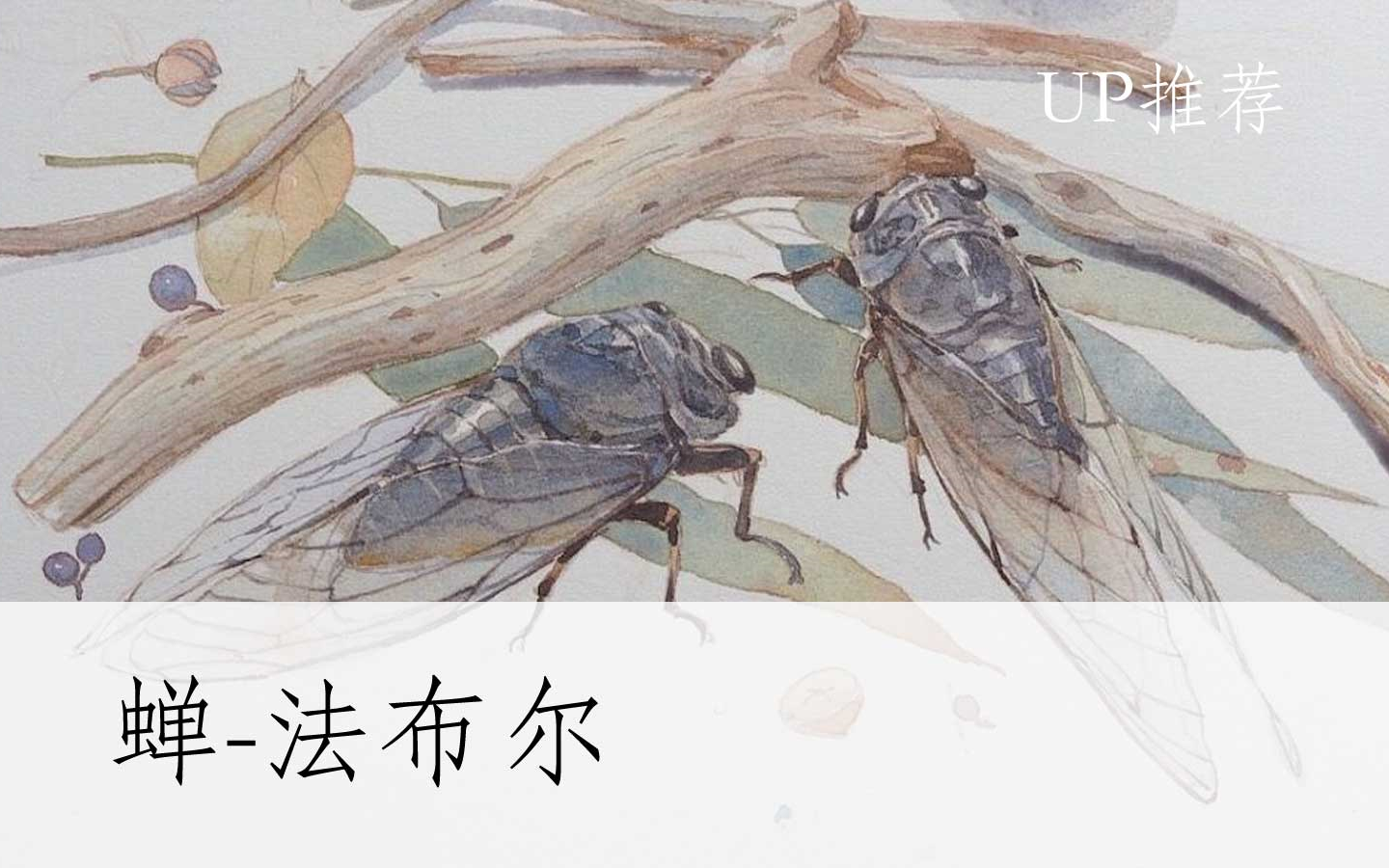 ...人教版八年级语文上册 初二2,初中 YW08A-106 (修订 清一下片头广告)