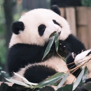 生物里里老师 