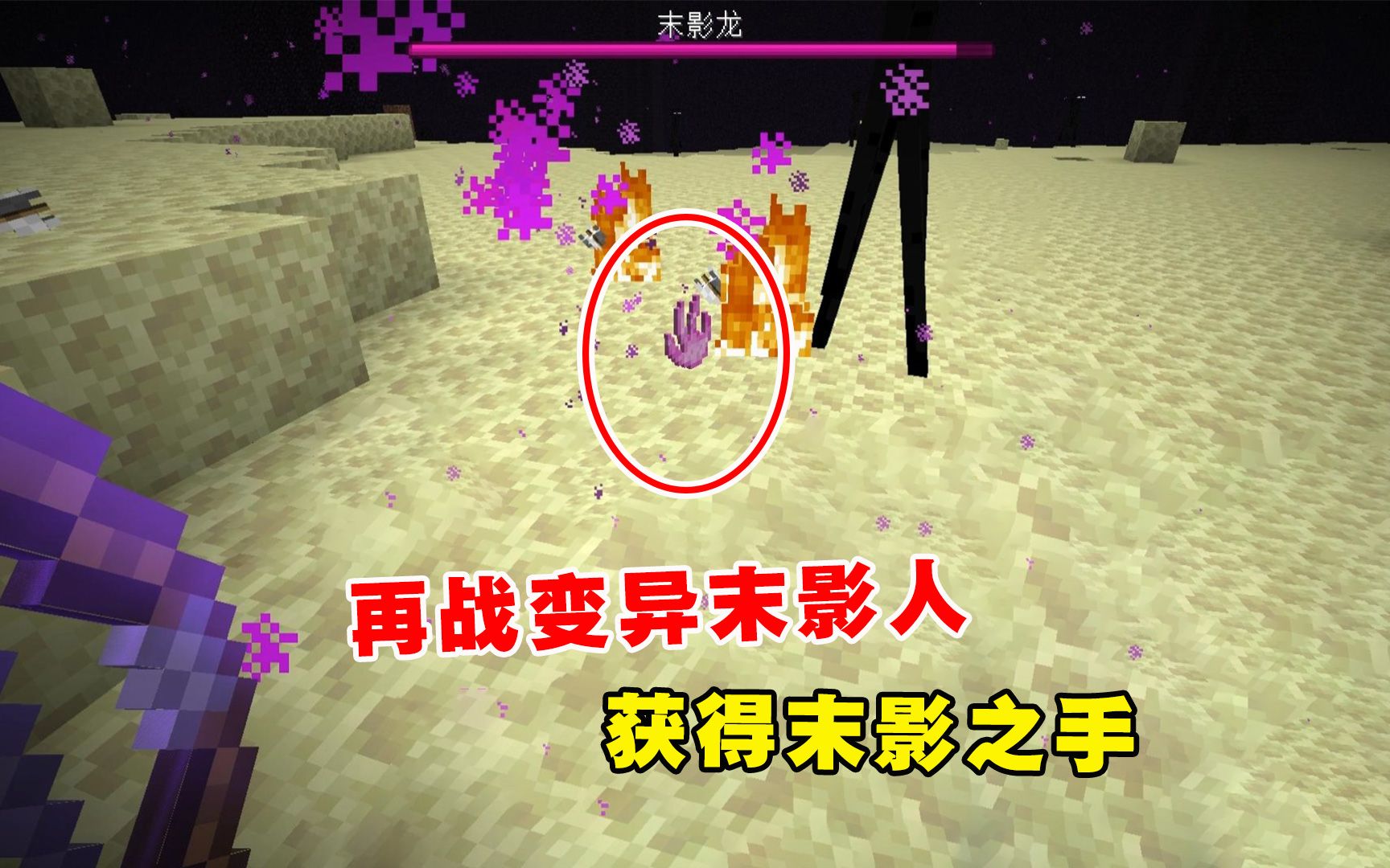 我的世界Him传说24:再战末地的变异末影人,获得末影之手_哔哩哔哩...