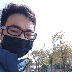 A上去的猫 