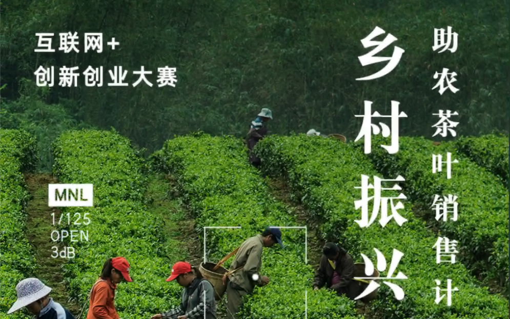 互联网+大赛乡村振兴项目计划书