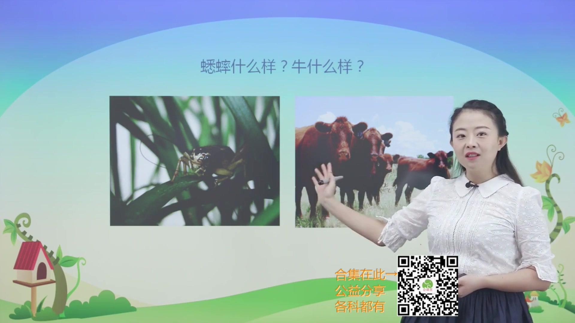 小学三年级语文上册同步精讲合集