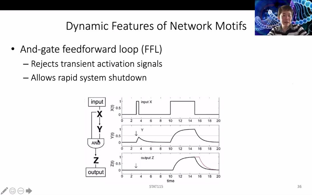 基因调控网络简介