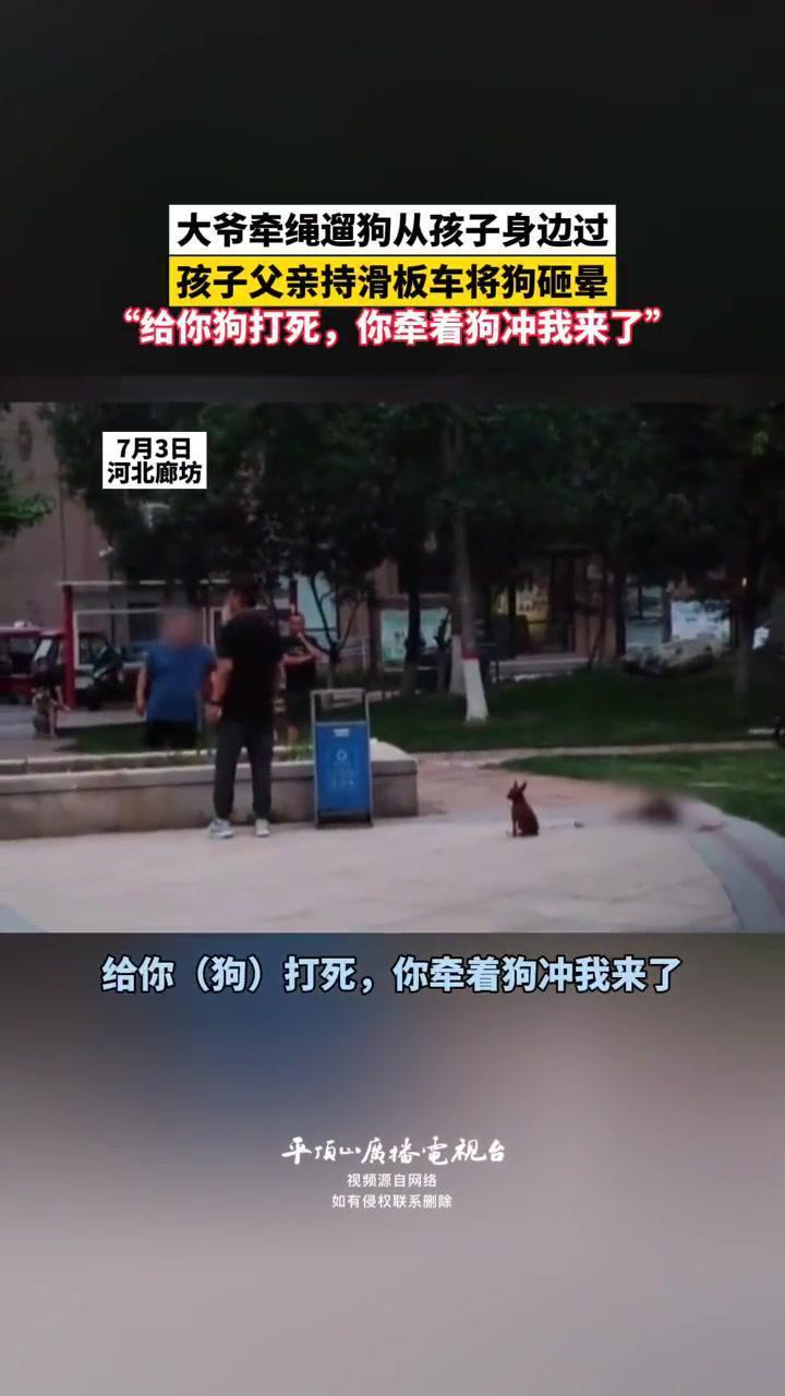 ...孩子身边过孩子父亲持滑板车将狗砸晕“给你(狗)打死,你牵着狗冲我...