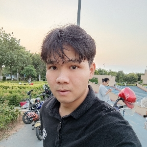 皮皮东大仙 