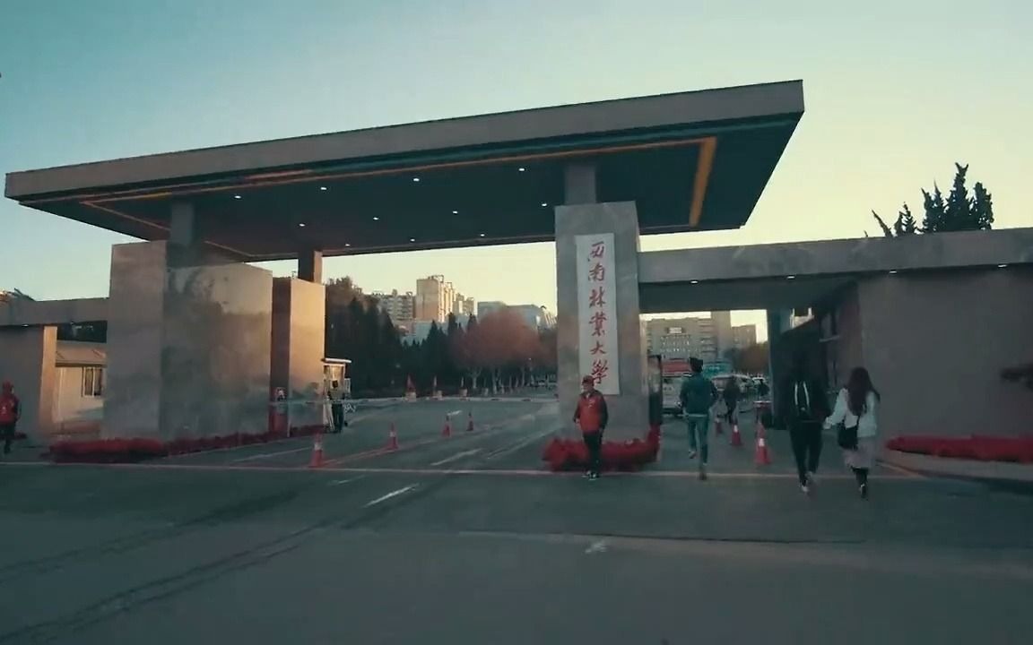 西南林业大学(高考结束了,有时间就去向往的大学看一看)