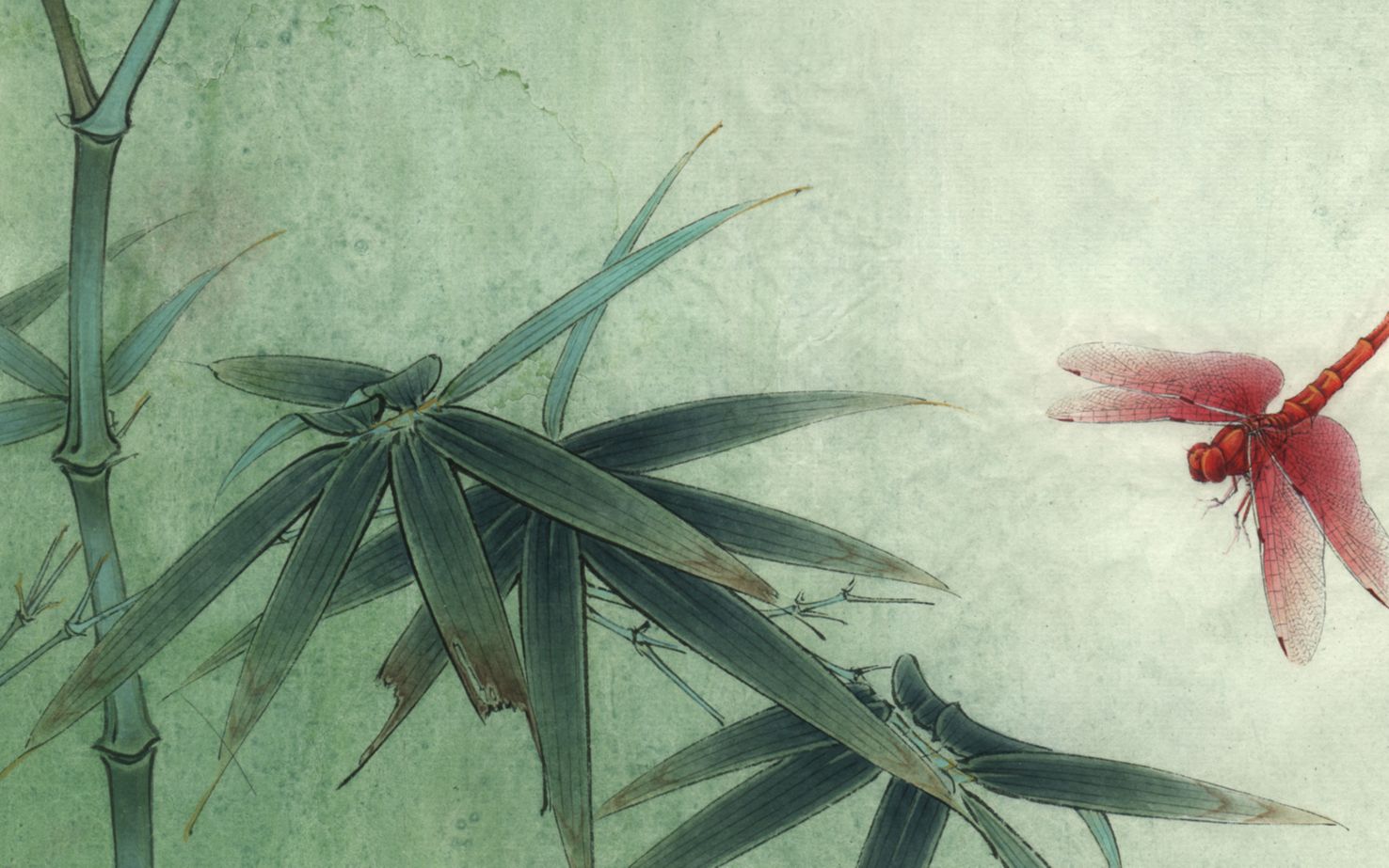 初学工笔画:工笔小强和你一起临四君子竹(红蜻蜓的绘制)