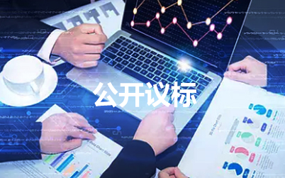 公开议标