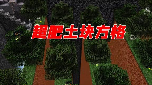 我的世界:开出超肥土块方格!证明自己就这么简单