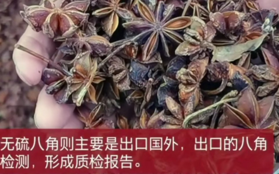 硫磺八角二氧化硫超国标16倍,依然流向全国各地餐厅和大小超市,而无...