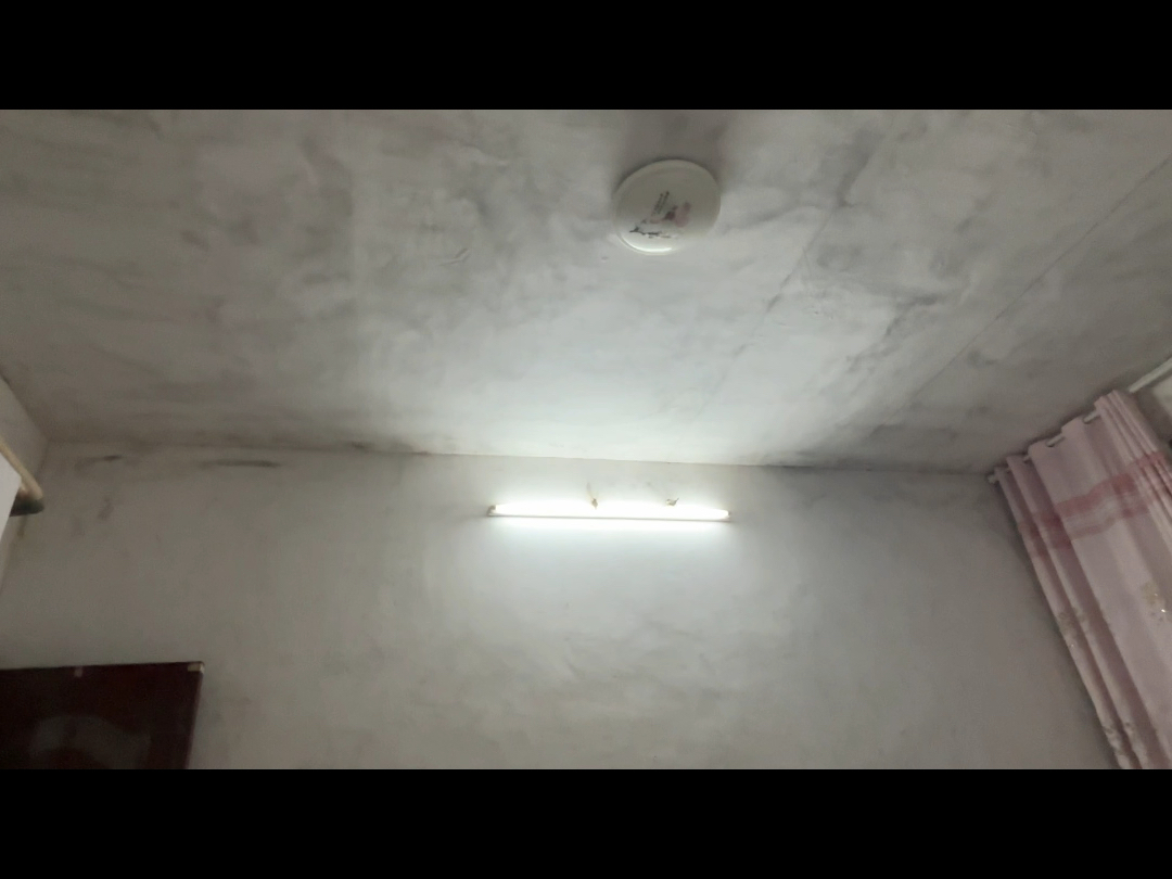 ...拍了,简直无处不在,床上每天各种虫子,关灯玩手机小飞虫就会全部过来