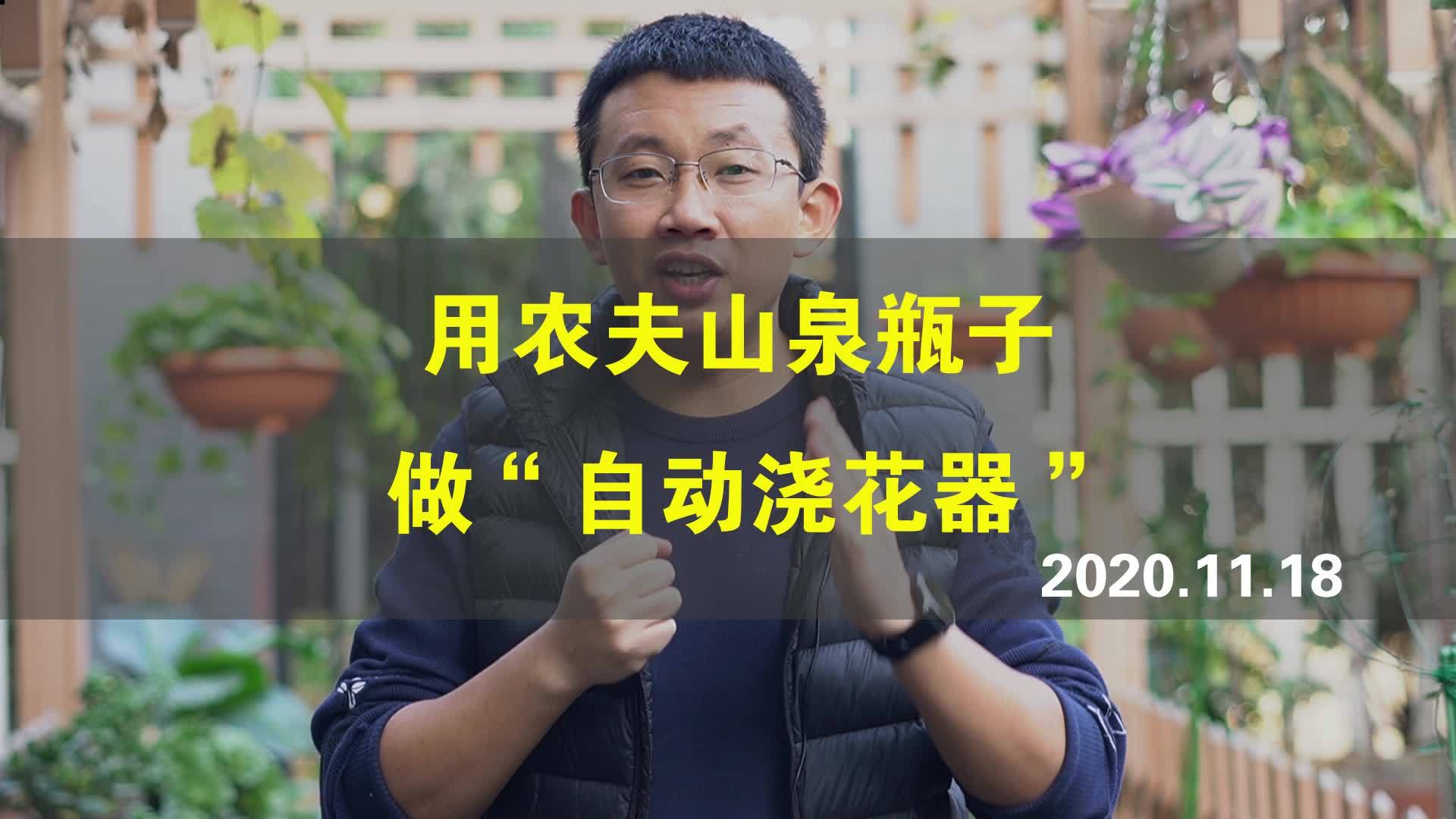 用农夫山泉瓶子,做"自动浇花器"