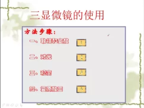 2.1.1生物体验课 显微镜的使用
