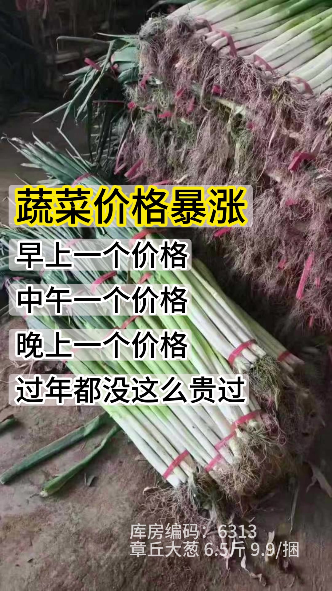 ...蔬菜批发渠道,社区团购供应链直呼不知道怎么卖了 早中晚价格浮动...