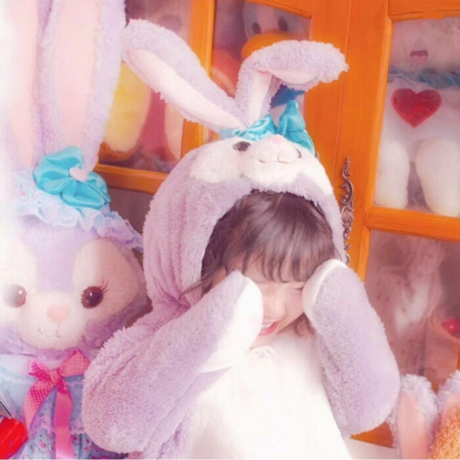 鸢尾花和猪宝宝 