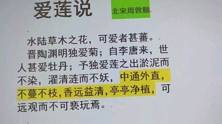 爱莲说古诗背诵中学文言文背诵带背节奏DJ