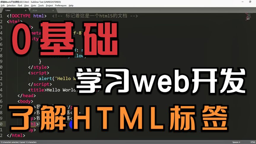 零基础学web开发-了解HTML标签