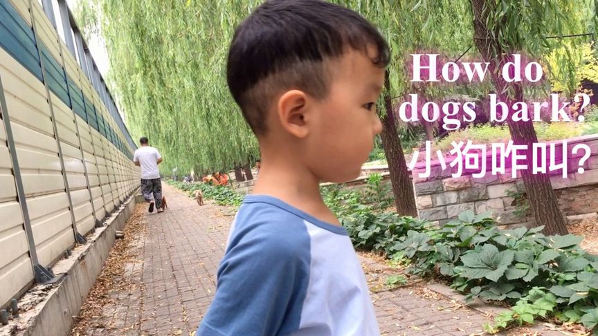 外孙儿学英文——小狗咋叫?