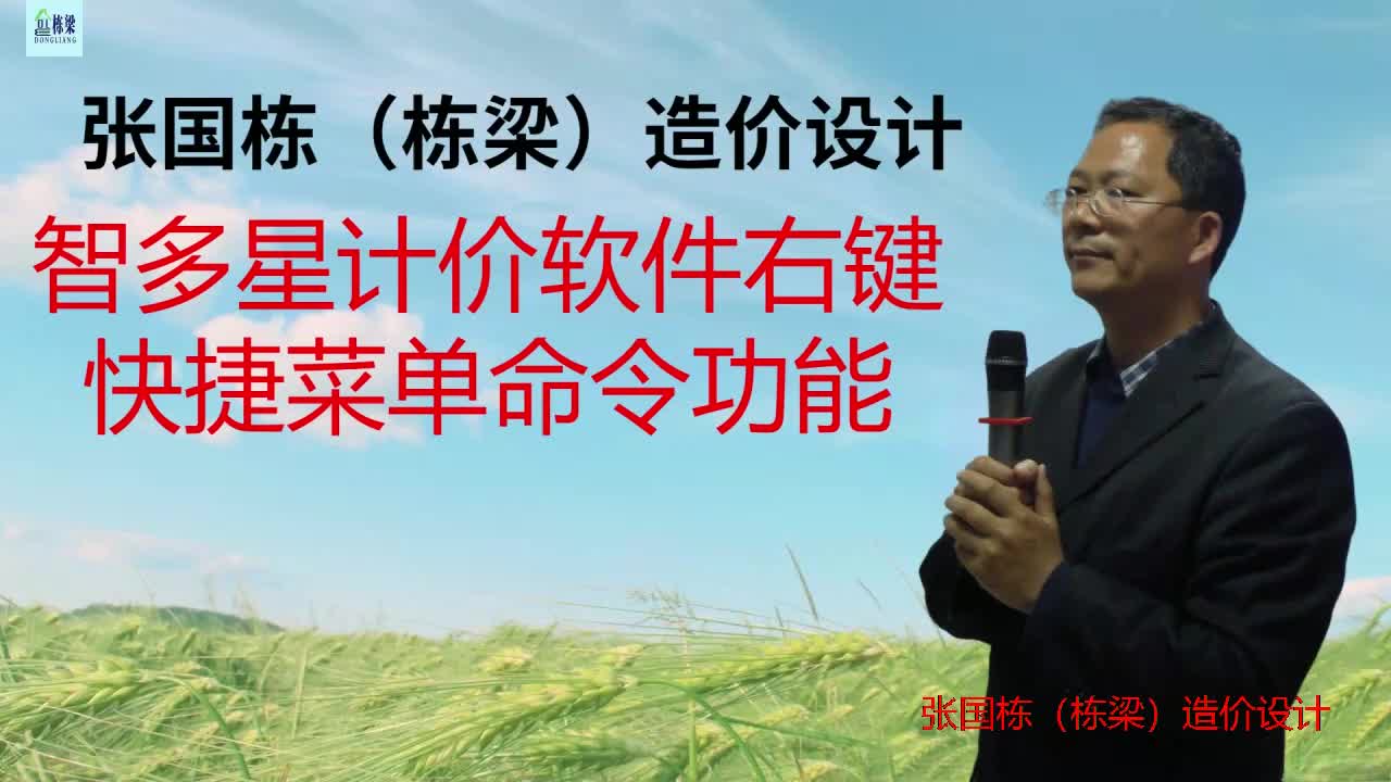 张国栋(栋梁)造价设计:智多星计价软件右键快捷菜单命令功能