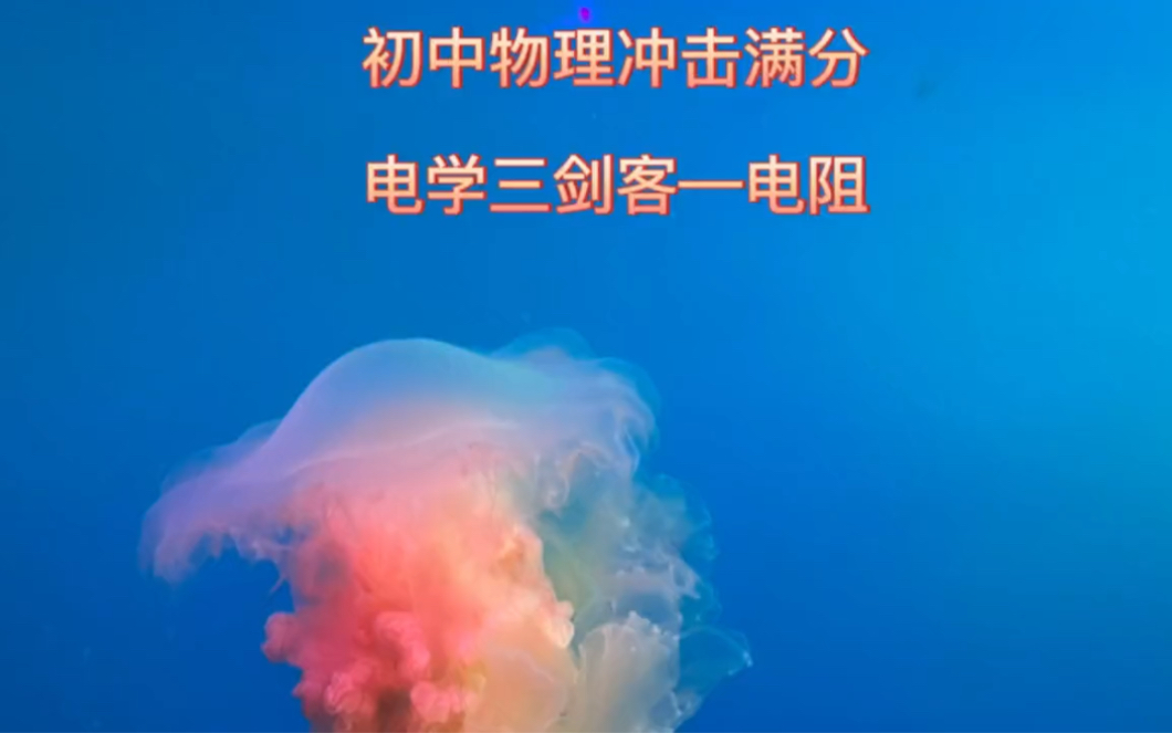 电学三剑客之电阻