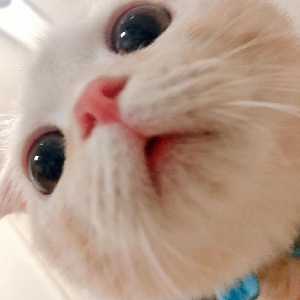 ZZZ是个圆圆圈_ 
