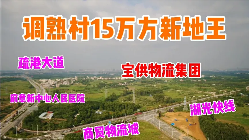 航拍广东湛江2亿地王,占地228亩,由广州宝供物流供应链集团拍得
