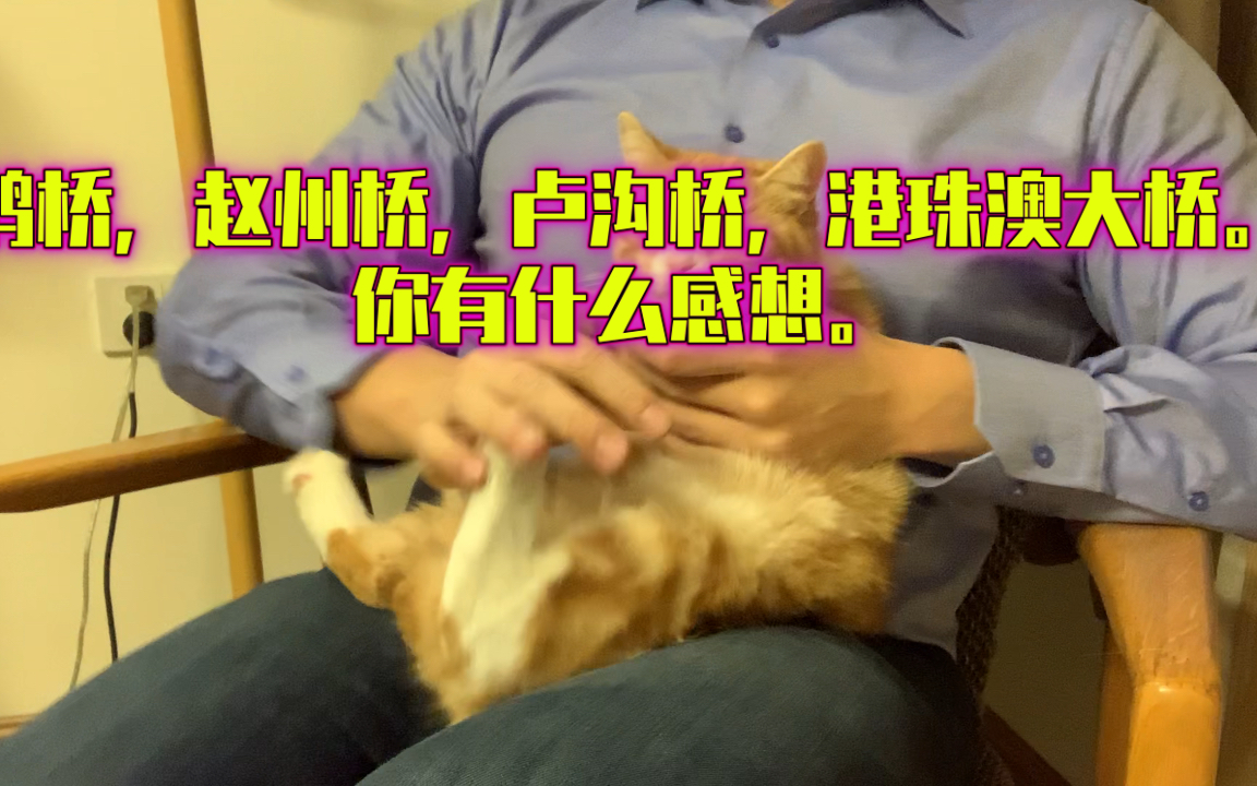 杨老师讲公考4:鹊桥赵州桥卢沟桥港珠澳大桥,有何感想?