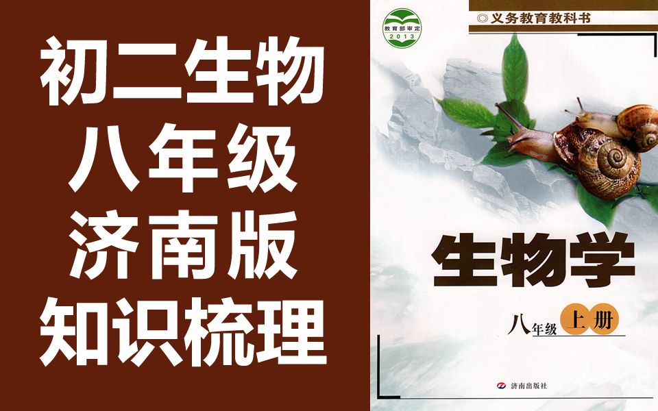 初二生物 济南版 八年级上册+下册 知识梳理 练习测评 真题训练 济南版...