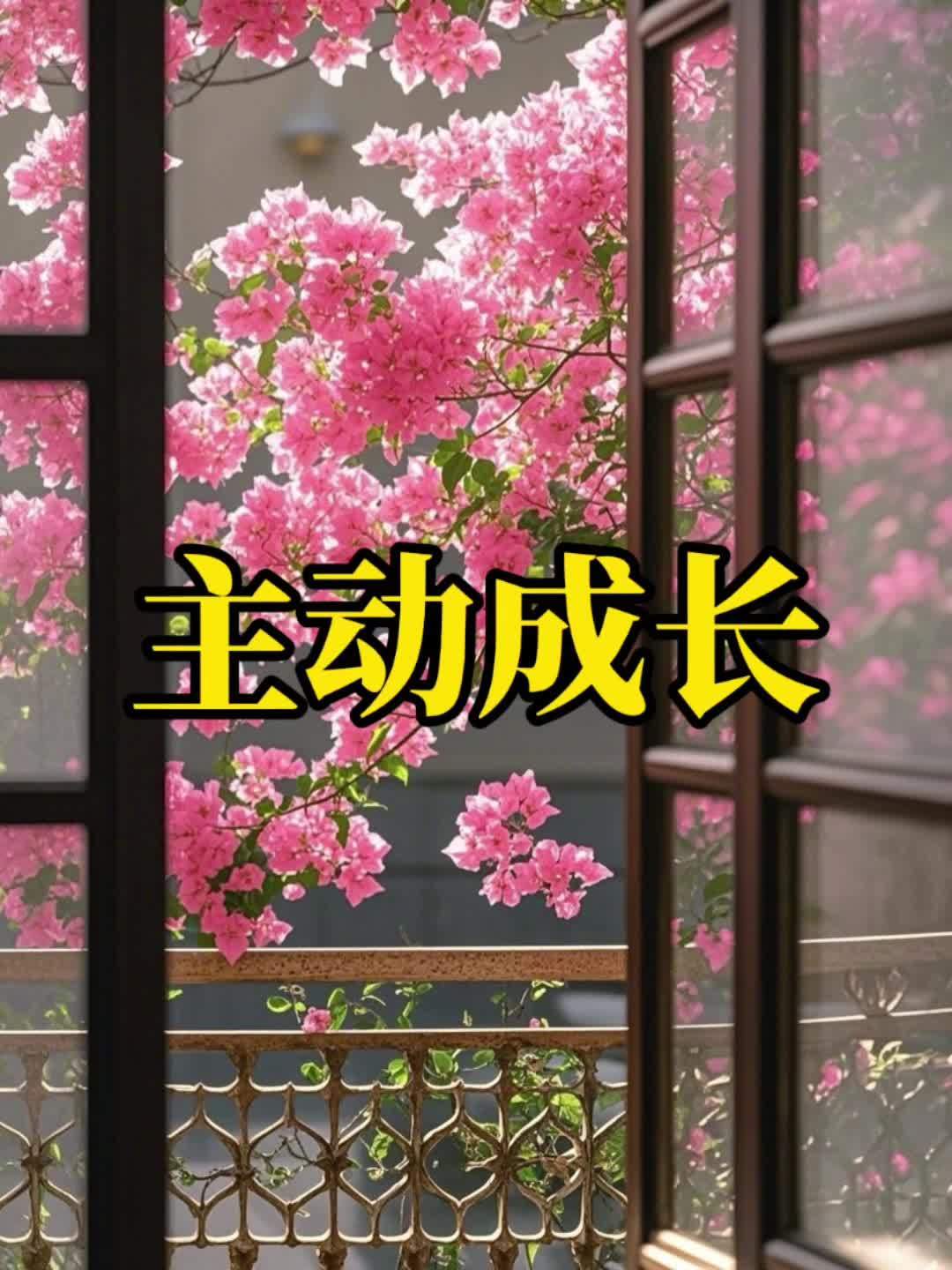 主动成长好过被动成长。