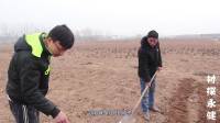 牡丹如何种植呢?看看这位大哥怎么说