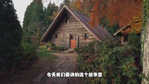 总也倒不了的老屋是一篇什么