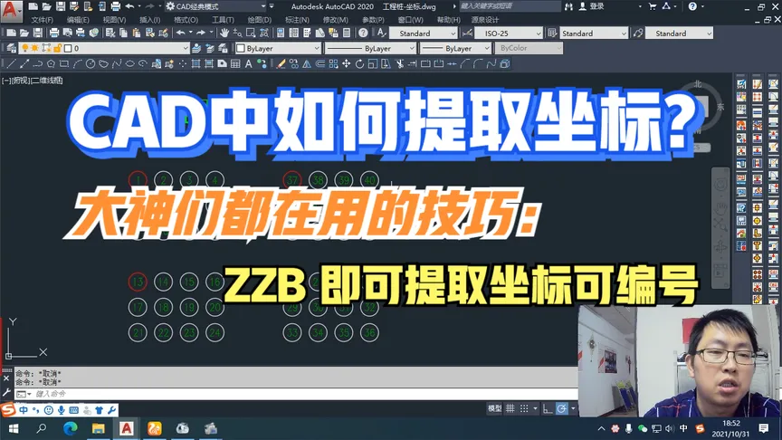 CAD一键提取工程桩坐标及工程桩自动编号,赶紧收藏吧