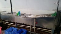 全自动消毒餐具洗碗机