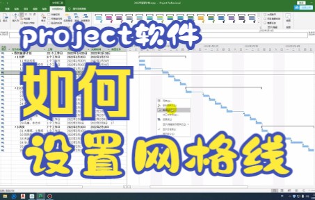 【project技巧】教你如何用project软件设置网格线并且添加日程表