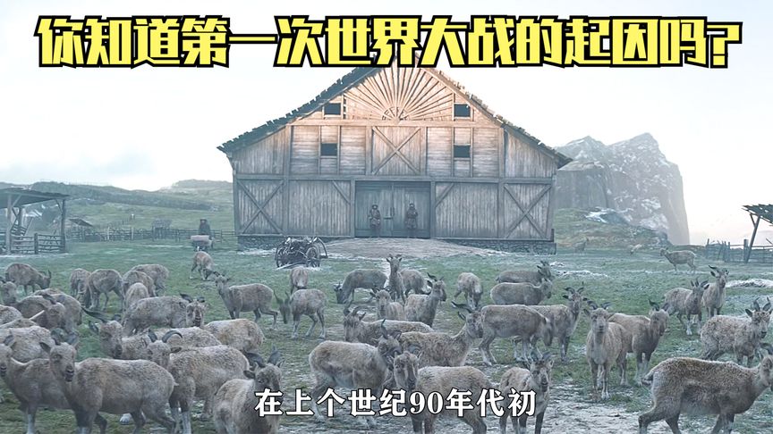 第一次世界大战的起因你们知道吗?