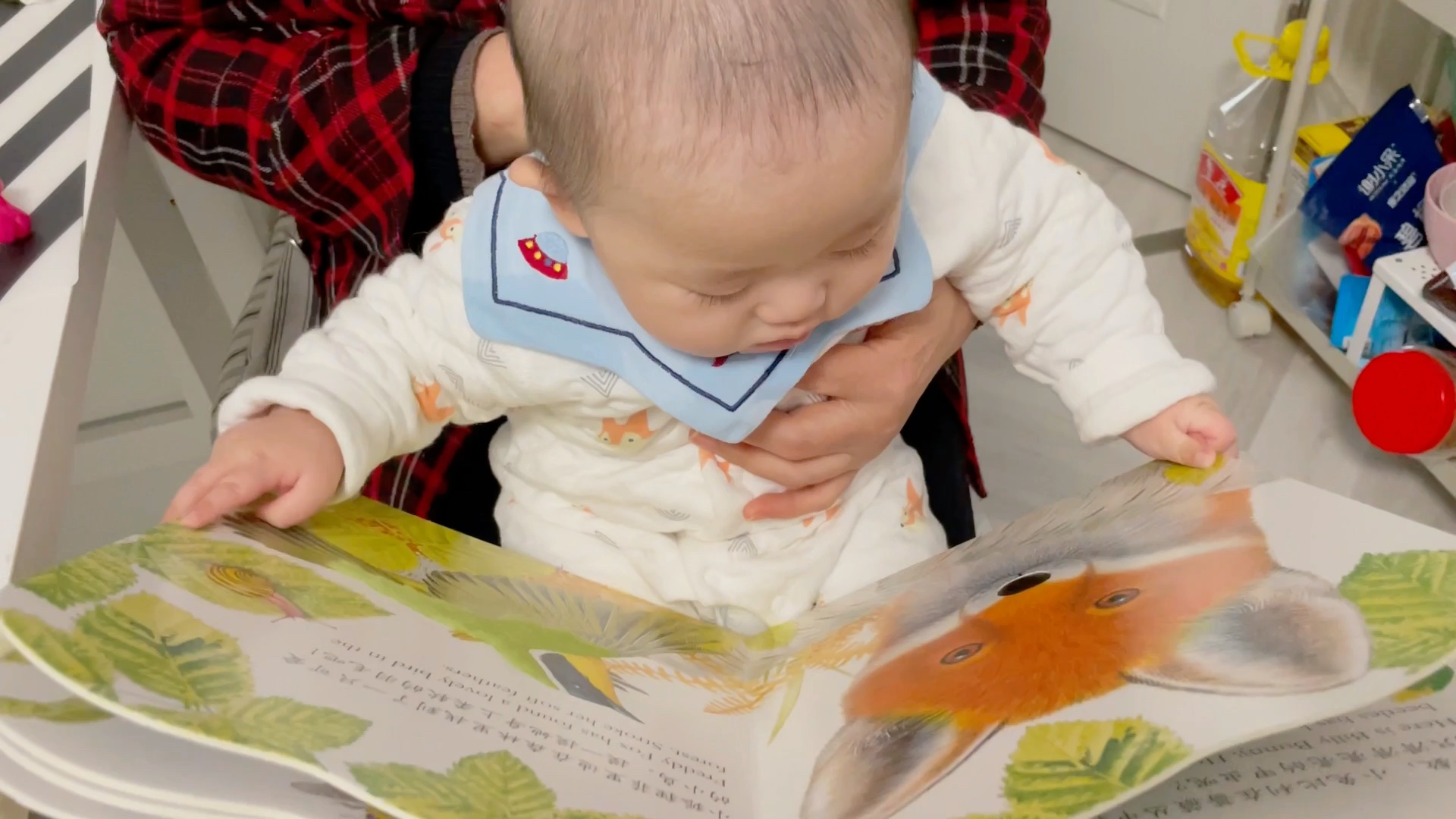 四个月小宝宝看绘本