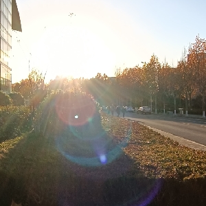 蟹老板的海绵宝宝呦 