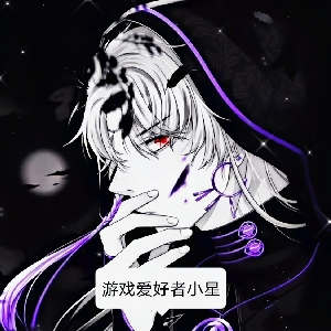 游戏爱好者小星 