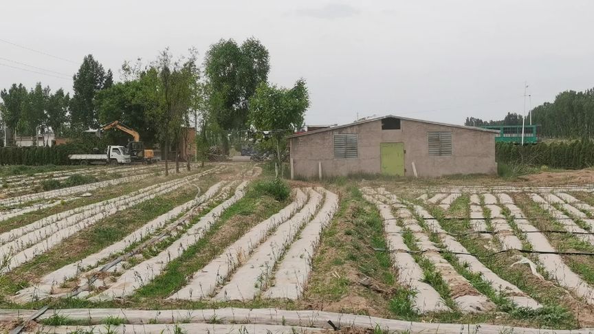 让科技走进农业,无人机植保