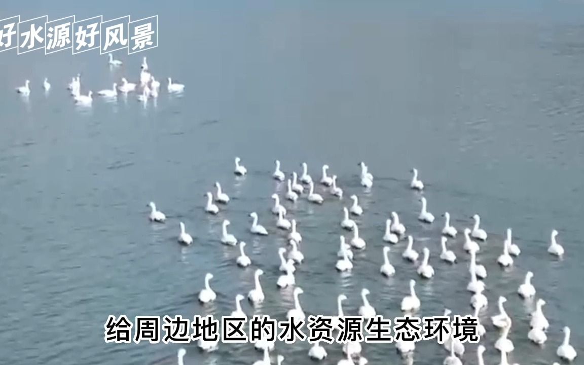 影响水体的污染源有哪些?过度开采矿产,导致地下水资源枯竭和矿区...
