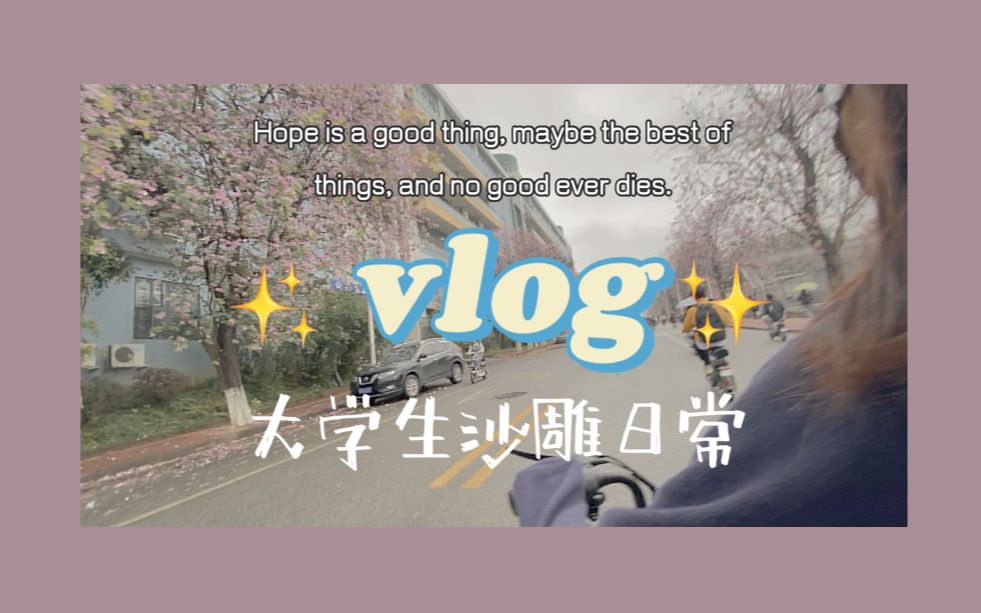 小鱼vlog|噩梦开学/女大学生宿舍上课沙雕日常