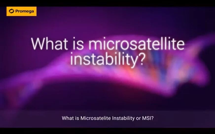 什么是微卫星不稳定性?MSI